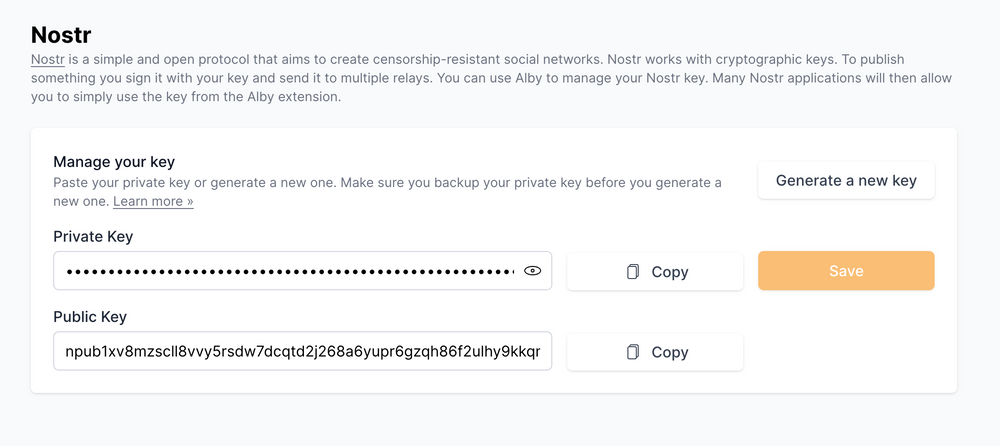 How to use Nostr? Simply Explained!